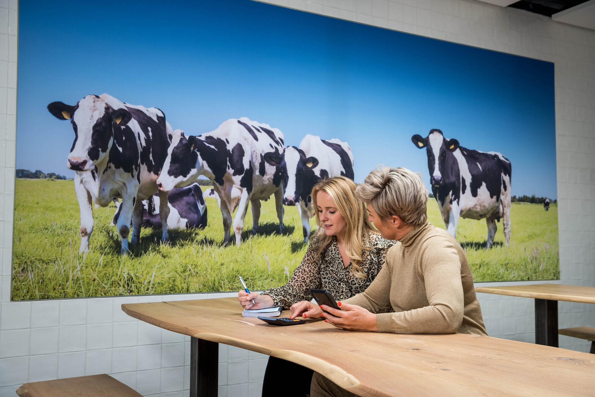 Bewindvoering bij een beperking | Des Bewindvoering